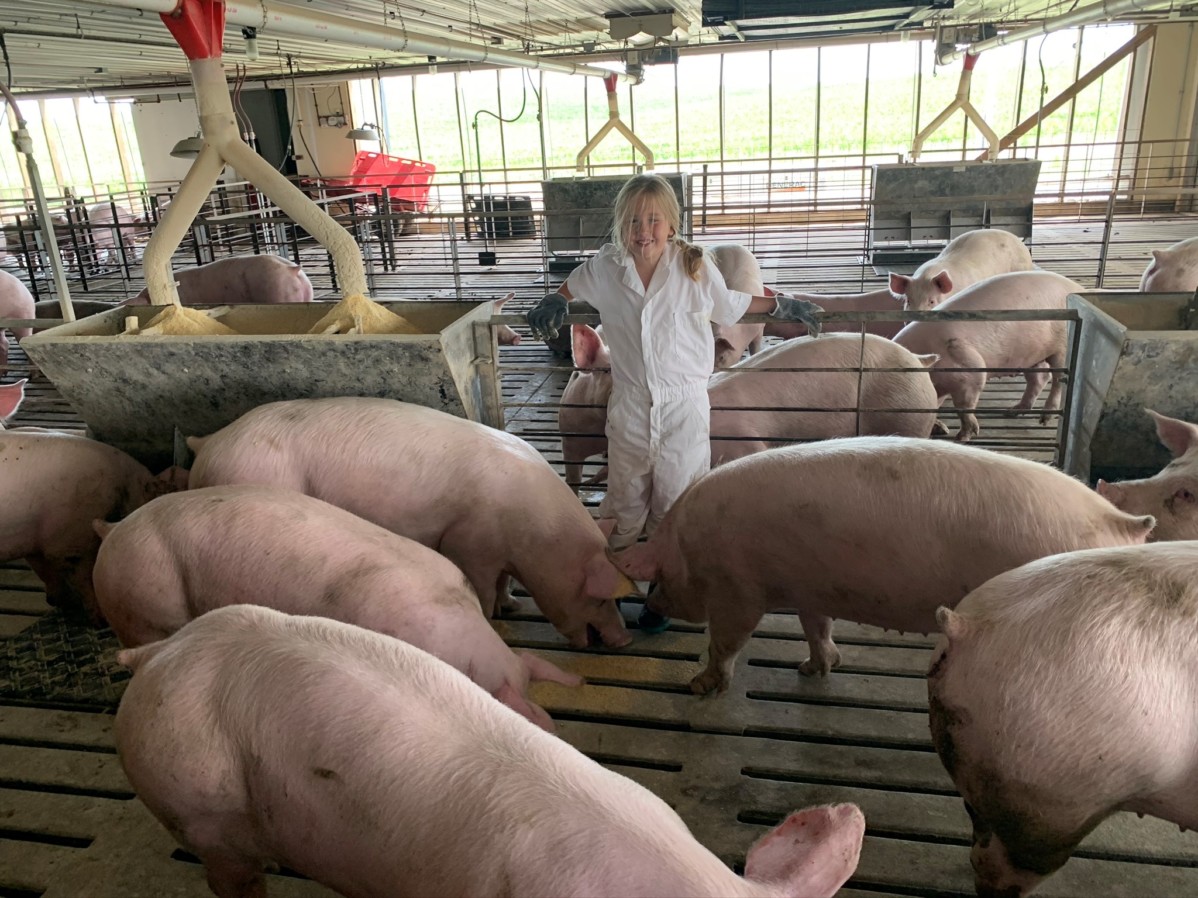 Pig Farm - Walk to Unlock Nebraska