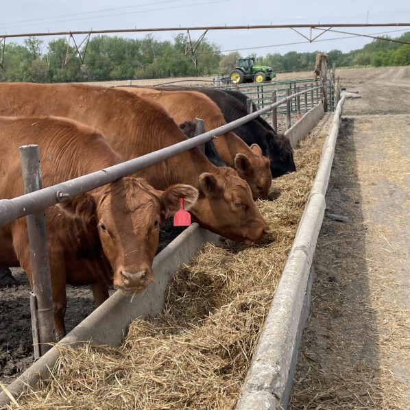 Nelson Produce Farm - Walk to Unlock Nebraska