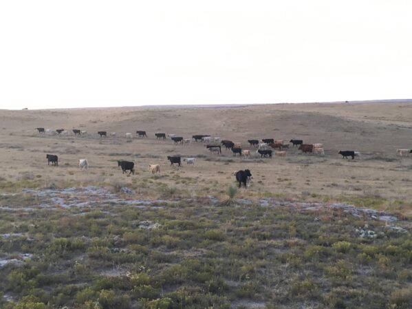 Diamond Bar Ranch - Walk to Unlock Nebraska